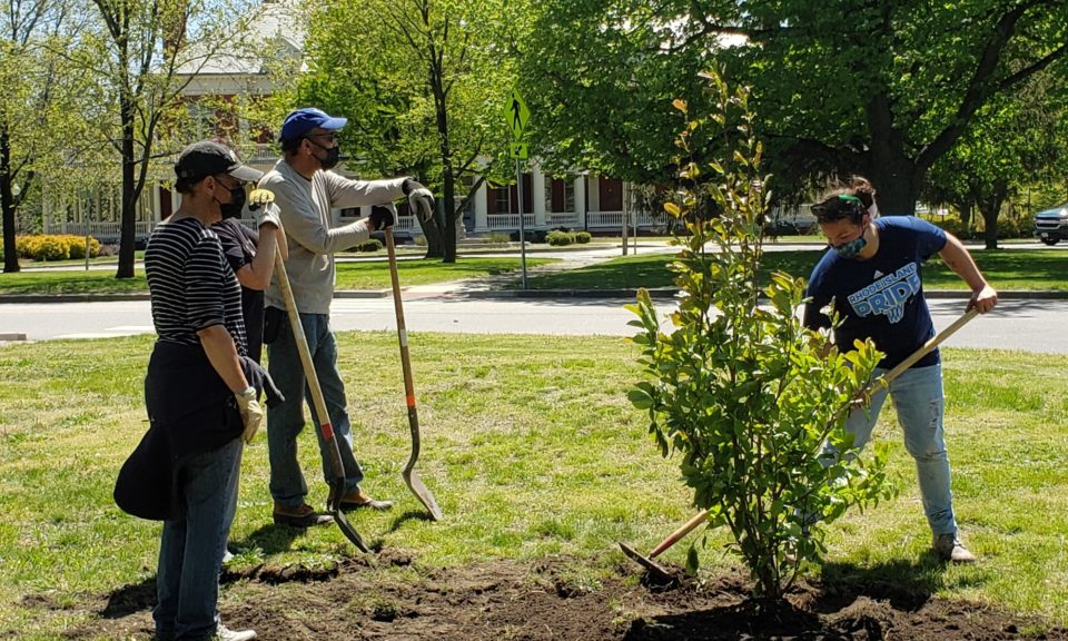Tree Planting Volunteer Sign-up | Roger Williams Park