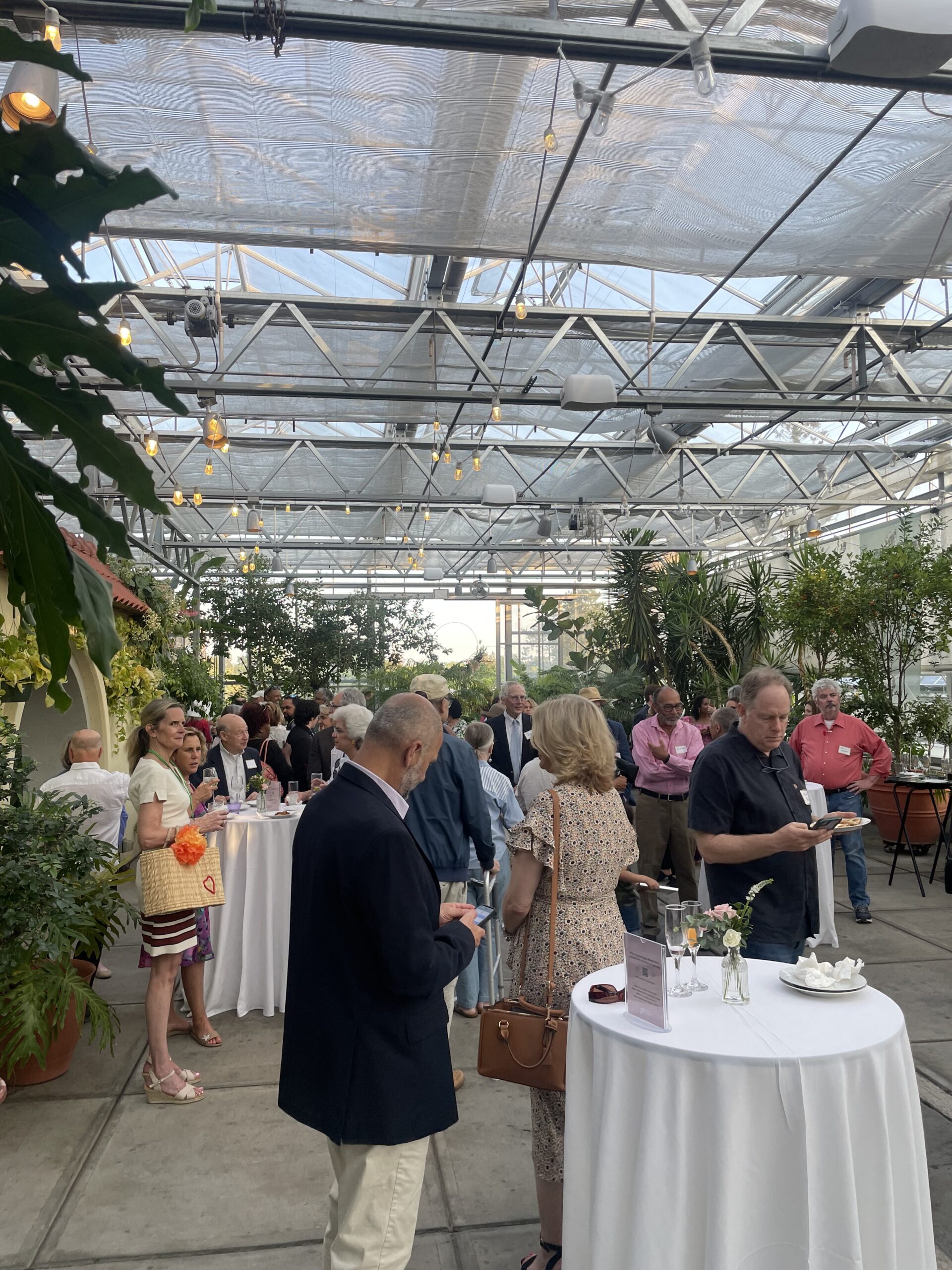 Best of Rosé In The Roses | Roger Williams Park